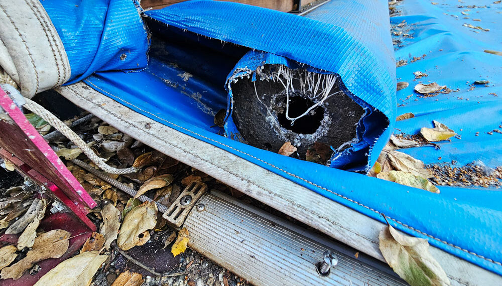 Home – Pacific Pool Covers